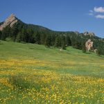 Boulder Abortion Clinic | Boulder Abortion Clinic | Dr. Warren Hern